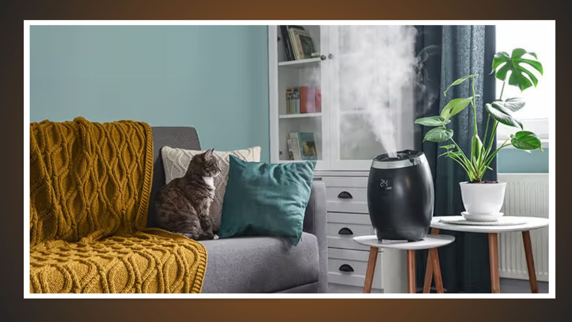 Humidifier Benefits - Improve Air Quality & Comfort – Homefy